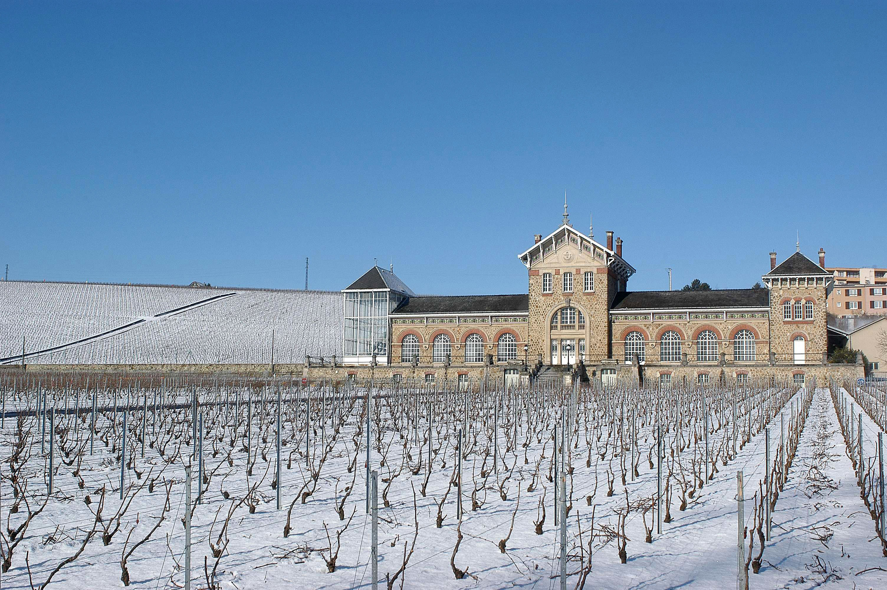 L’Ecole et son centre de recherches qui sauvèrent le vignoble ...