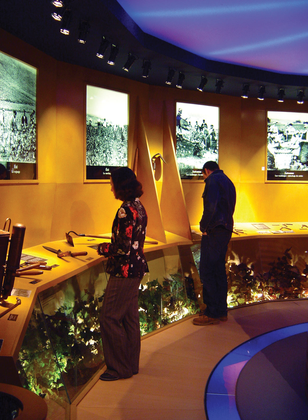 A museum combined with a breathtaking view | Unesco