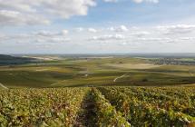 La magie des crayères | Unesco